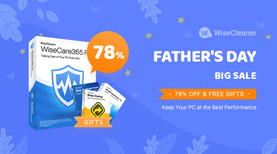 WiseCleaner Father's Day Sale